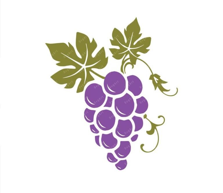 Grapes SVG, PNG, PDF, Purple svg, Fruit svg, Bunch Vine Grapes, Grapes png