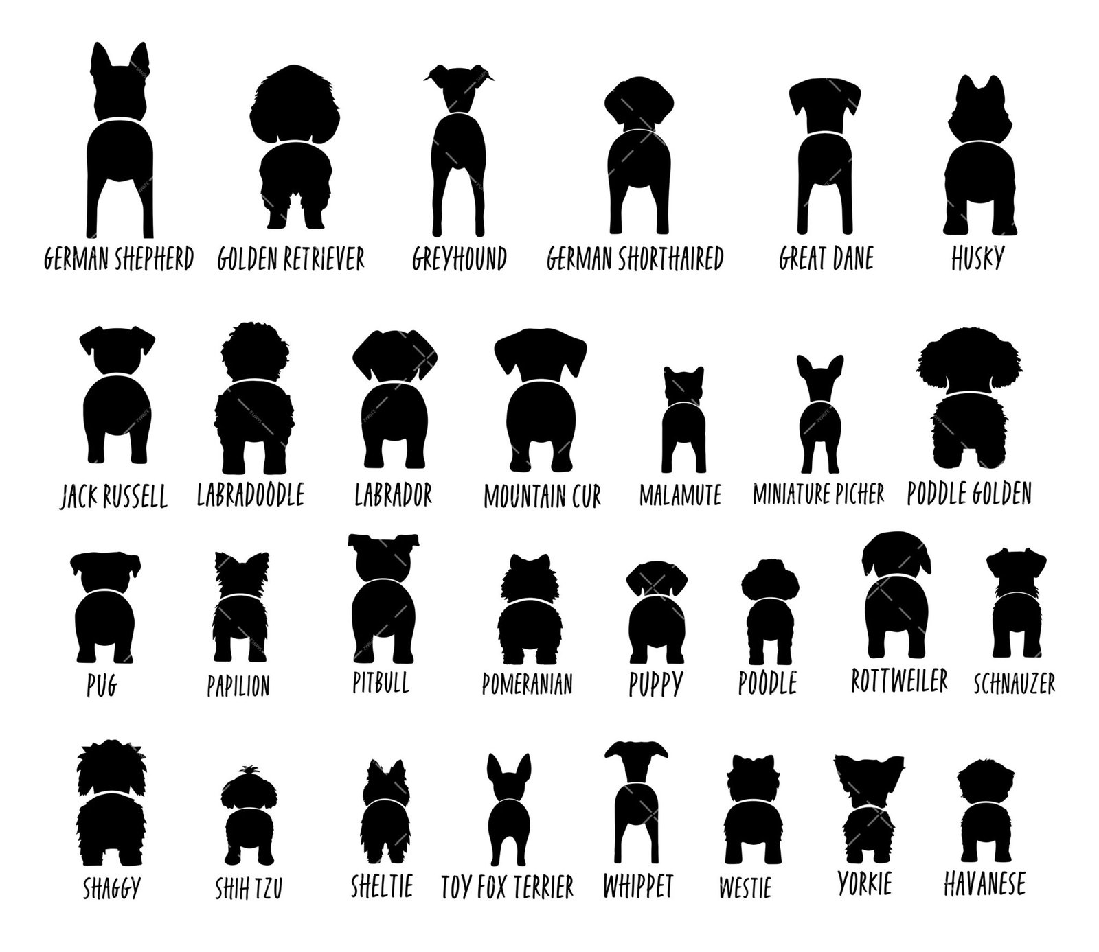 Dog Butt SVG Bundle, PNG, PDF, Dog Silhouette SVG