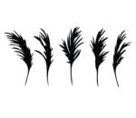 Pampas Grass SVG, PNG, PDF, Hippie SVG, Boho SVG