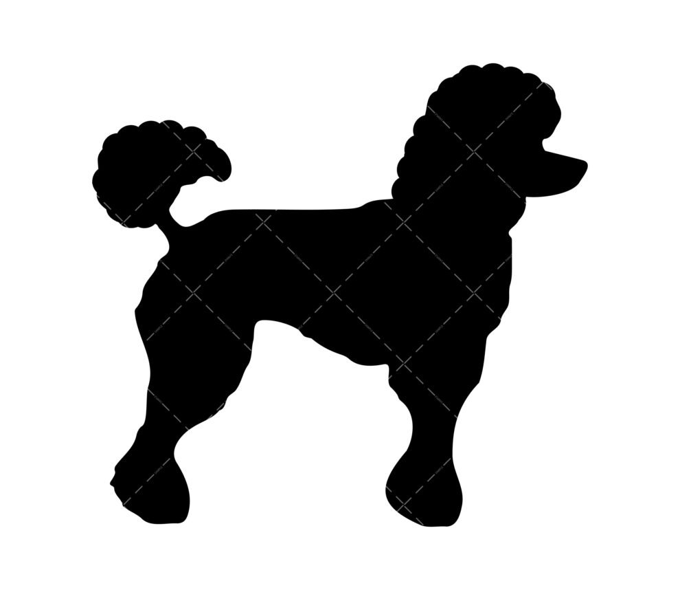 Poodle SVG, PNG, PDF, Poodle Silhouette SVG, Cute Dog SVG