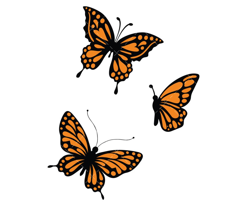 Monarch Butterfly SVG, PNG, PDF, Butterfly Bundle, Butterflies PNG